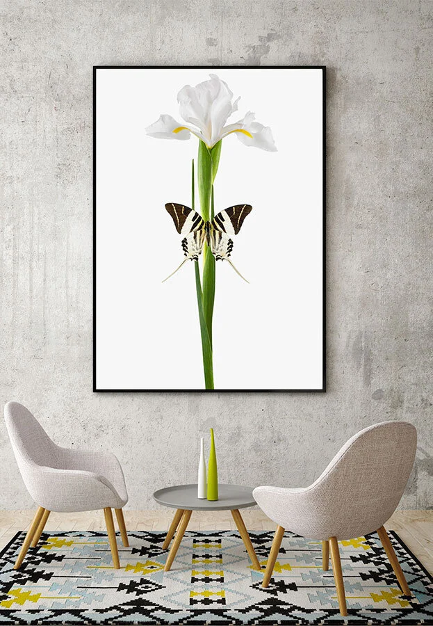 jeffstasneyphotography.com-Fine Art Nature and Landscape Photography ...