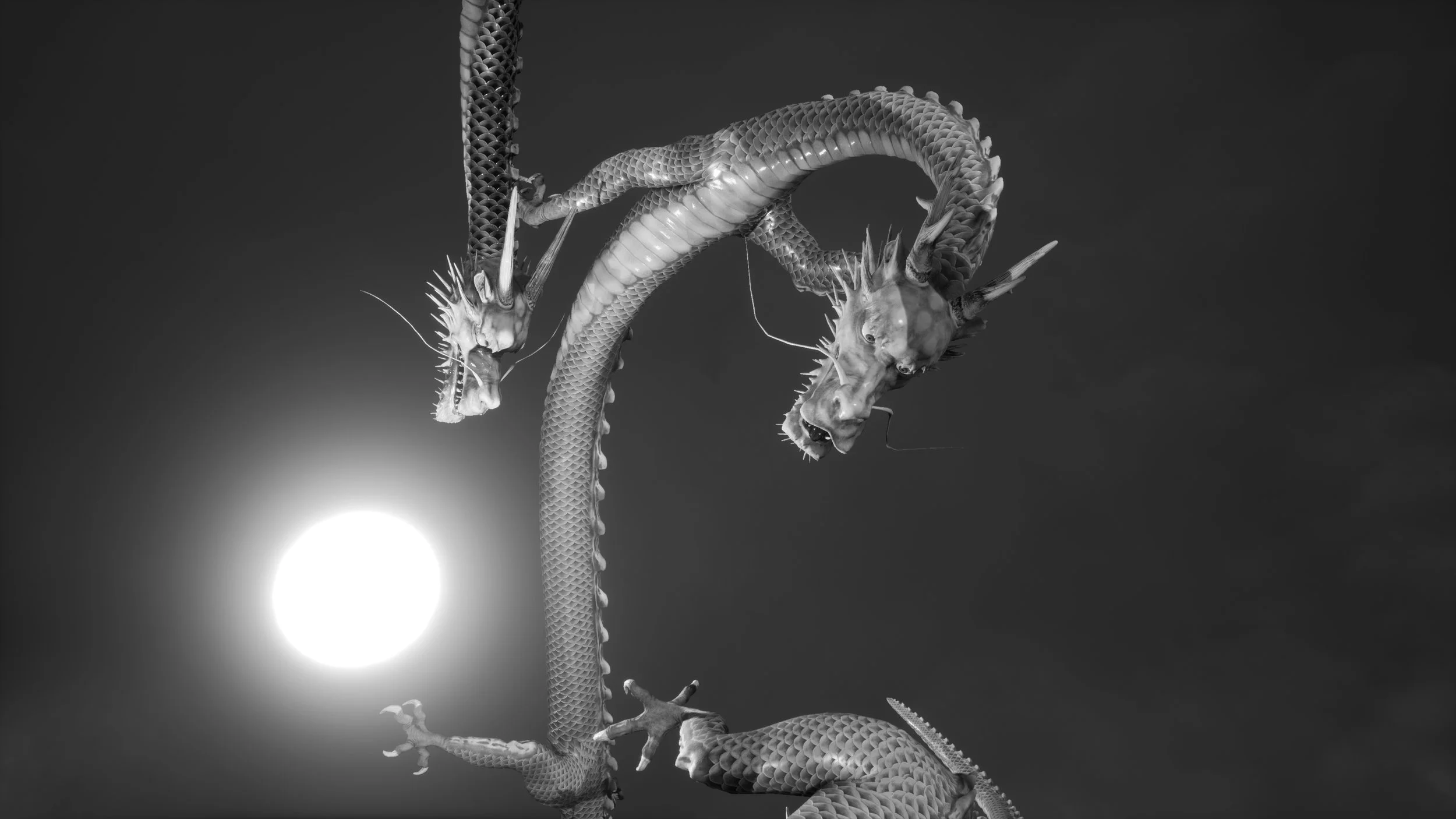 Nine Dragons — YANG YONGLIANG