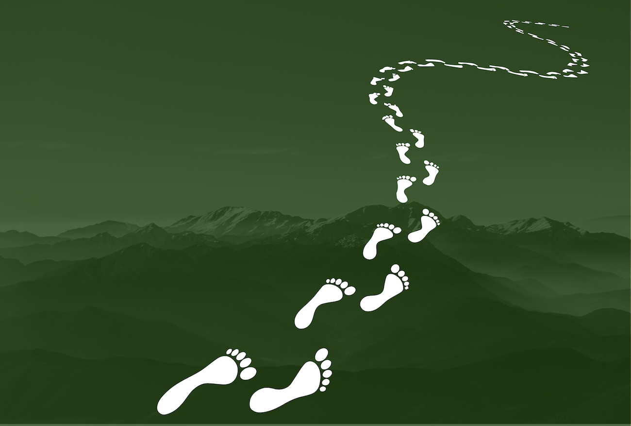 Michael E. Brage, M.D.