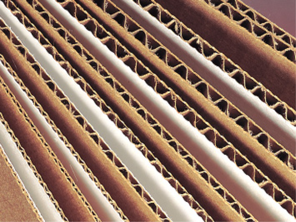 Corrugated Packaging Hawaii | Rengo Packaging, Inc.