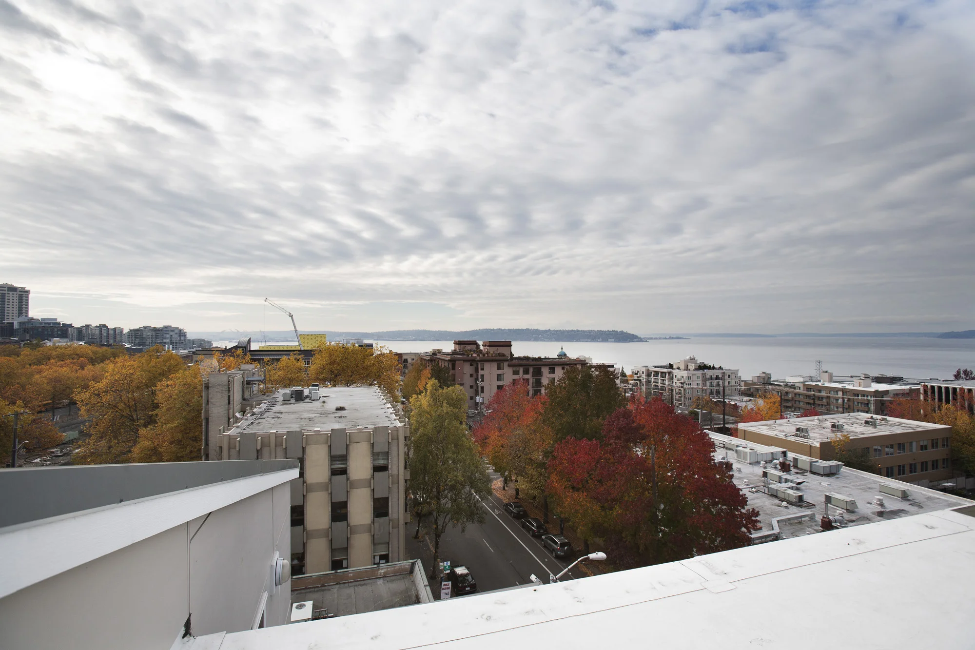 View 420 — West Freeman Properties