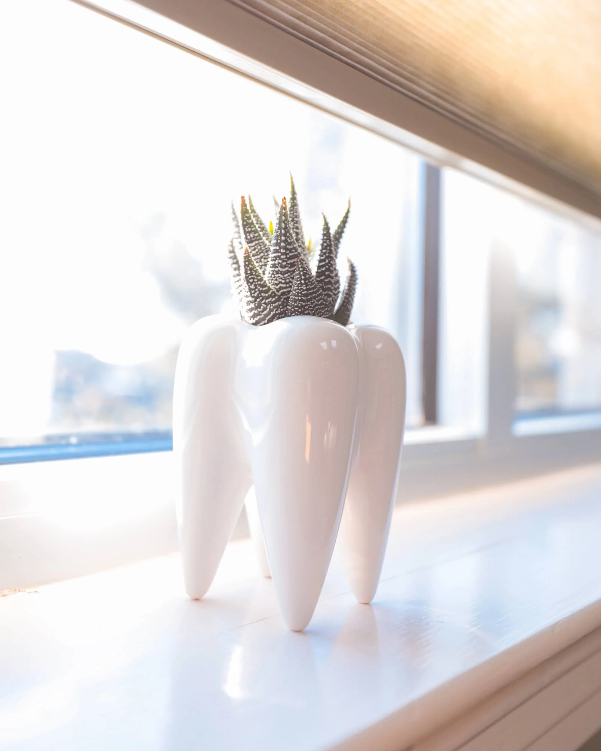 SW Austin Dental