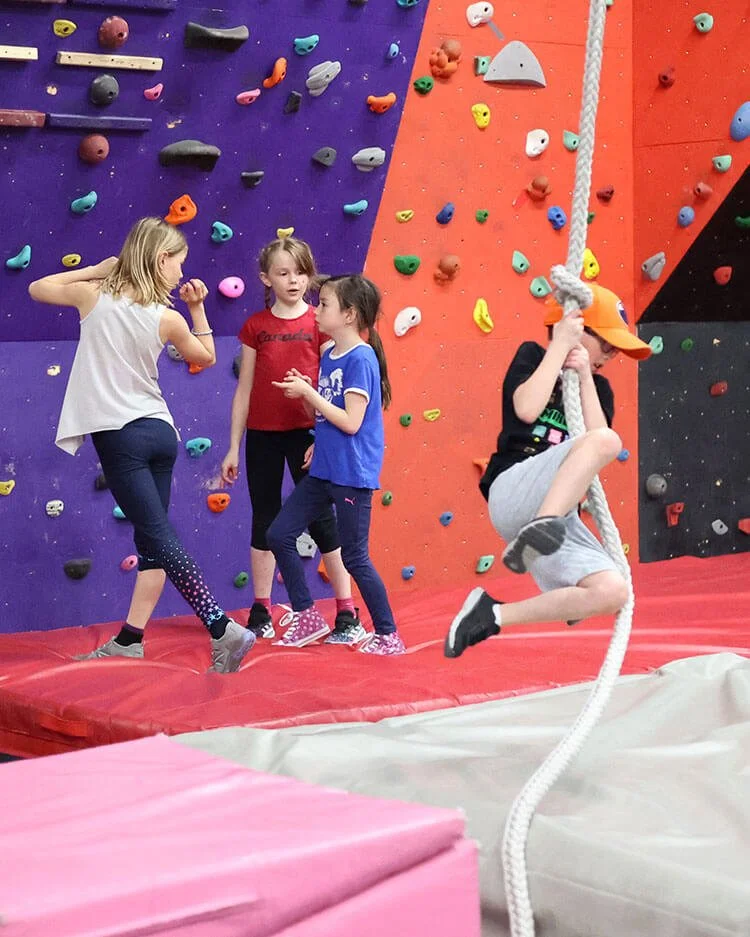 Ninja Homeschool Team | Fitset Ninja