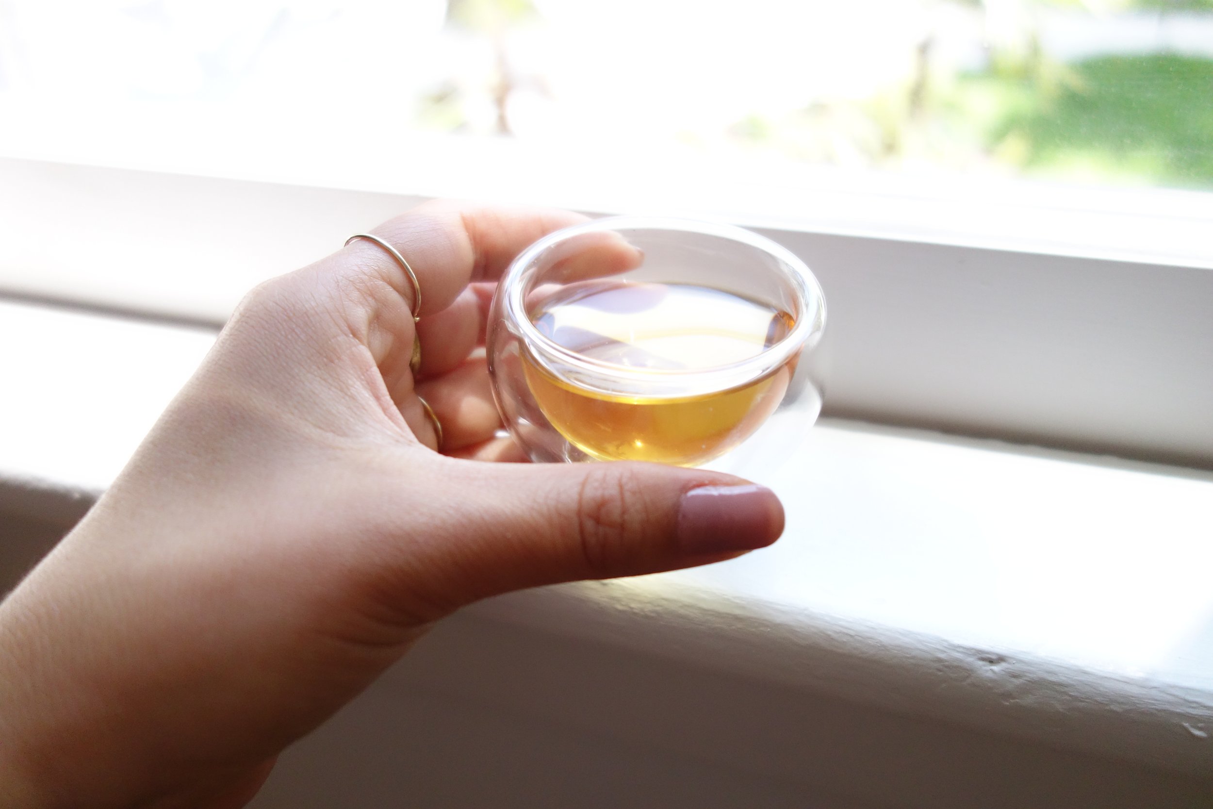 River inn casa florida container bar historic preservation avra jain ...