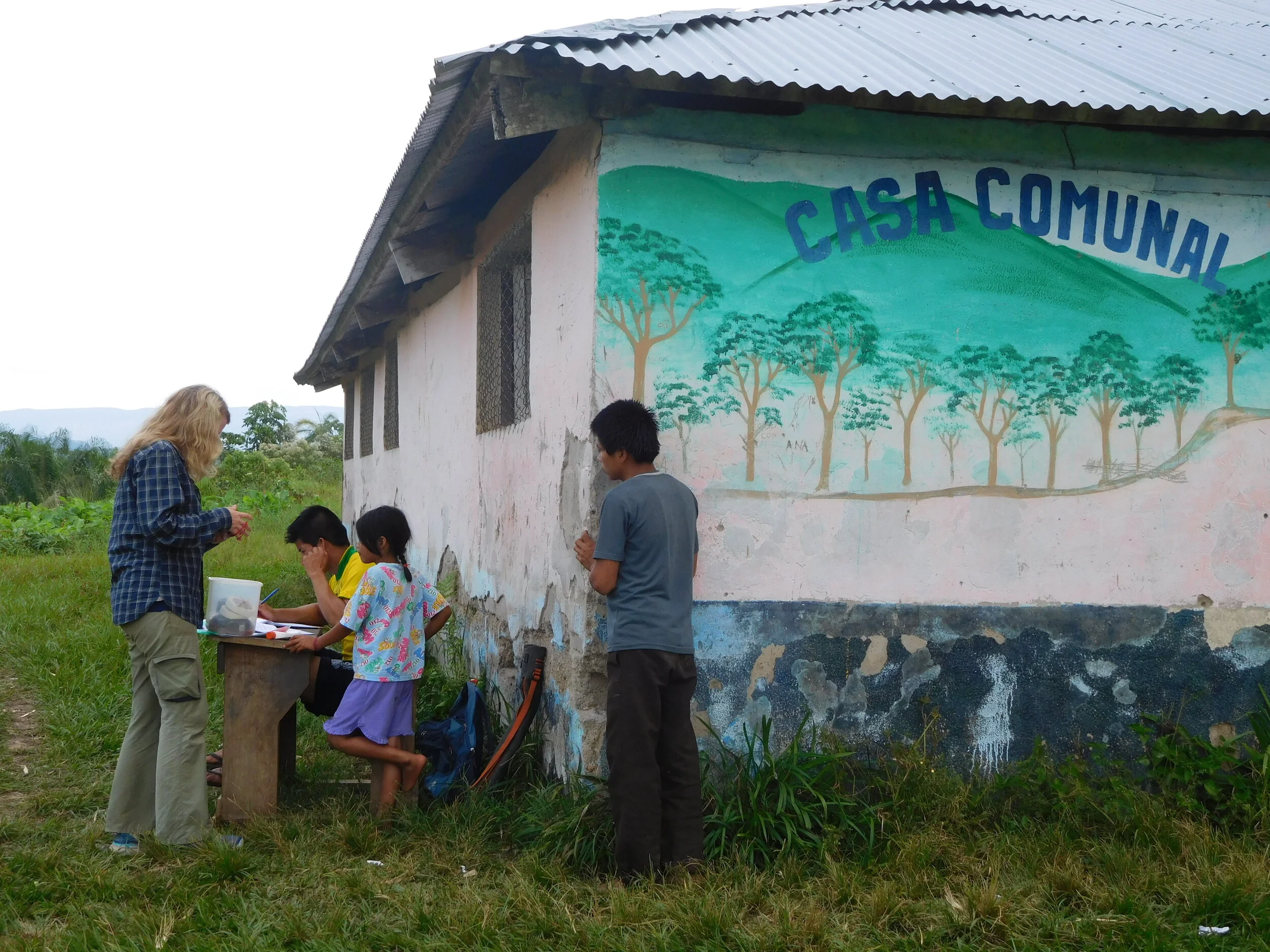 Information about the Tsimane, an indigenous group from the Beni ...