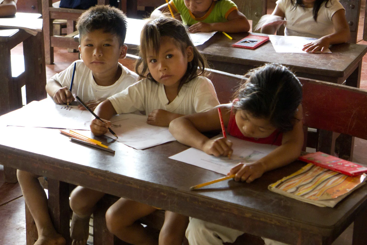 Information about the Tsimane, an indigenous group from the Beni ...
