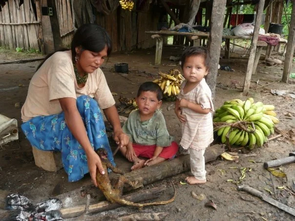 Information about the Tsimane, an indigenous group from the Beni ...