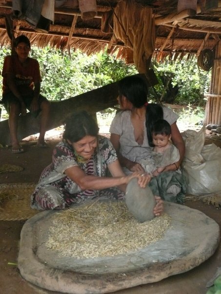Information about the Tsimane, an indigenous group from the Beni ...