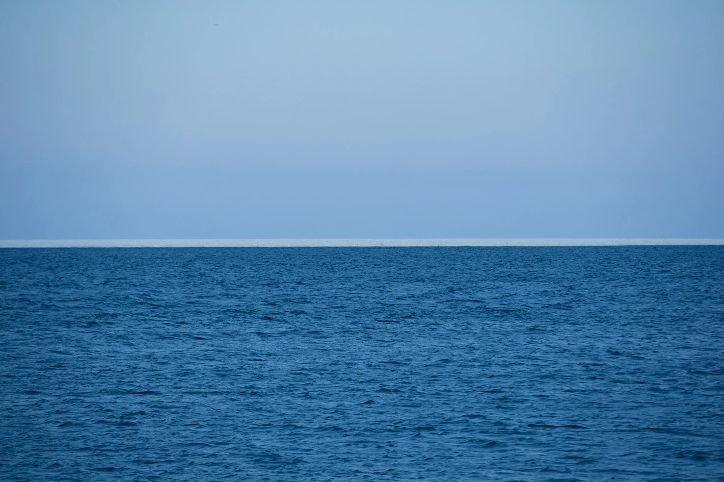 Norihiko Okimura 興村憲彦