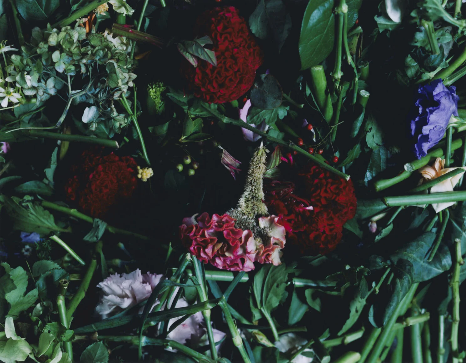 Norihiko Okimura 興村憲彦