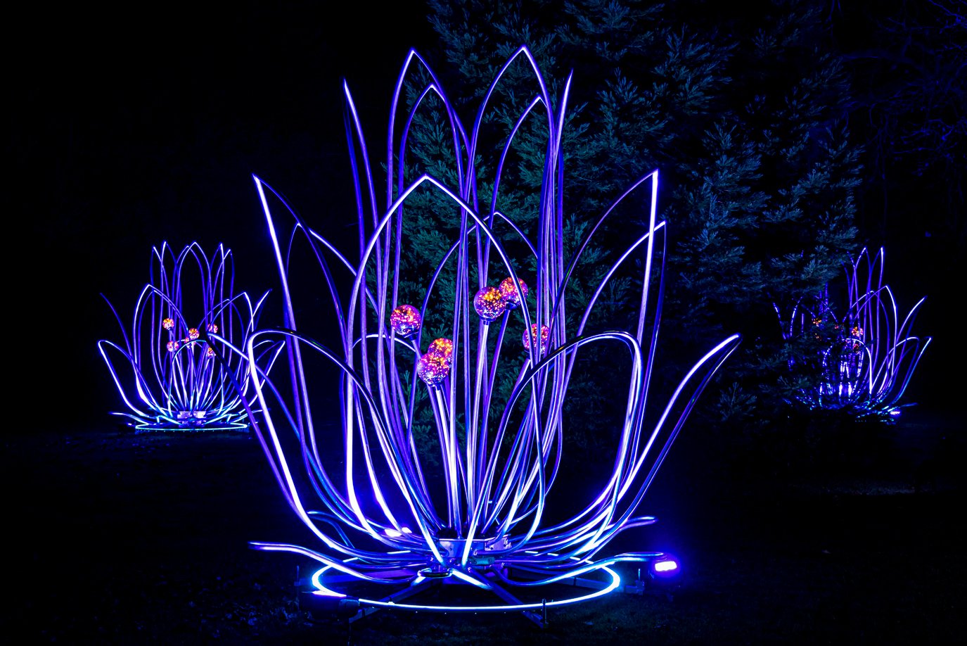 New Lights Trail to launch at Leeds Castle for 2022 — 'cene Magazine