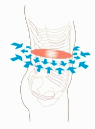 What is Intra-Abdominal Bracing and How does it Work? — Restore ...