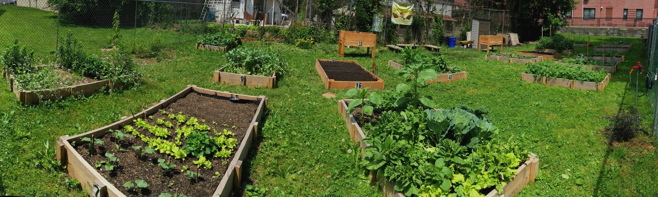 Community Gardens — Let it Grow Landscapes