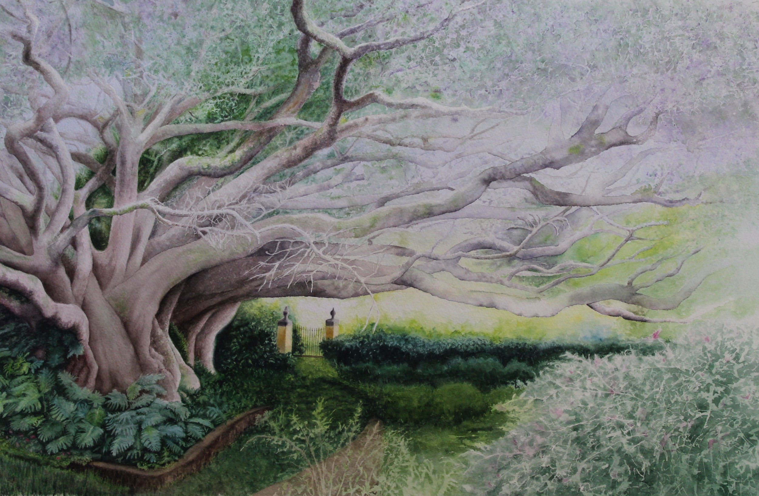 Fig Tree Painting