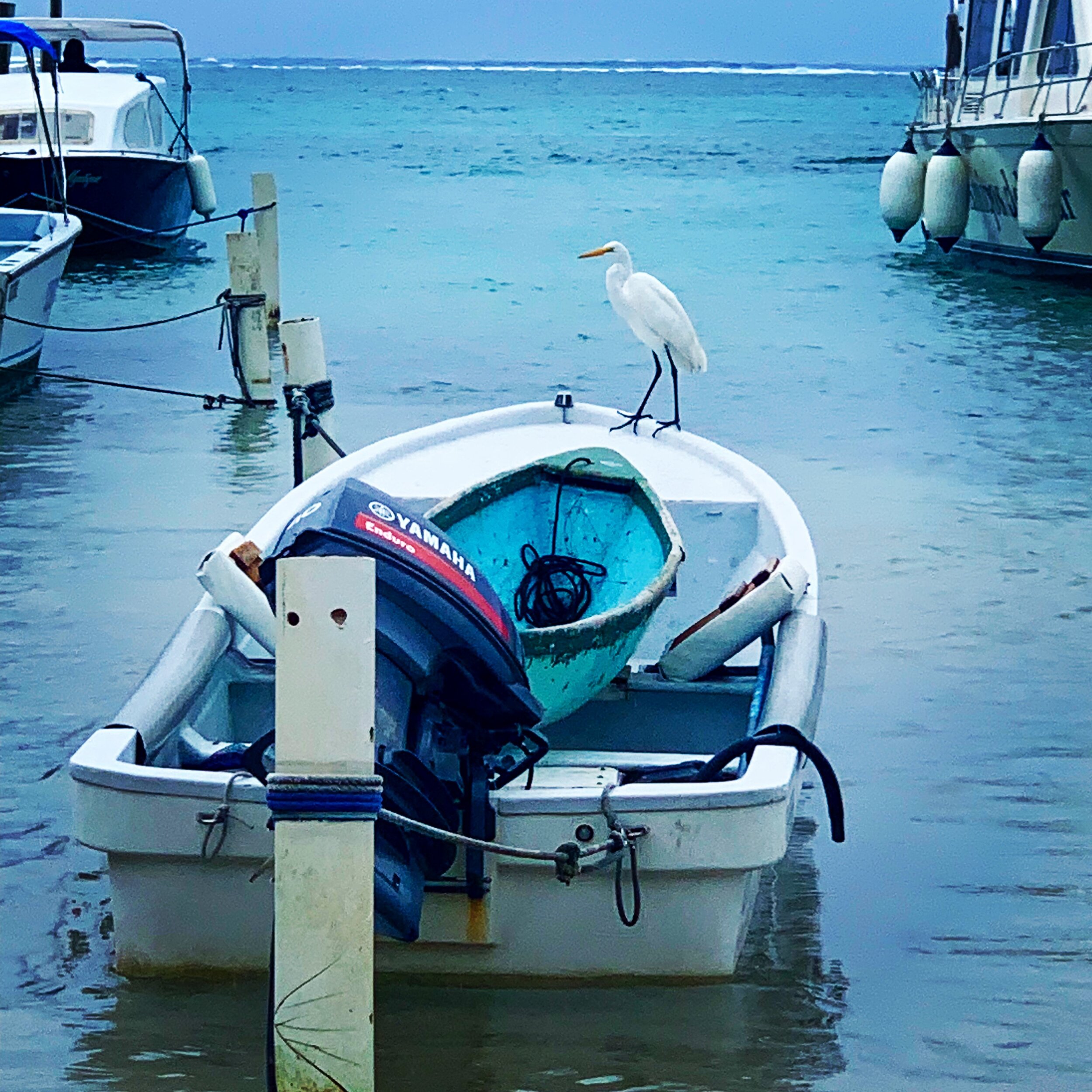 The Many Faces of Belize - Part 3 — Belize Happy Adventures