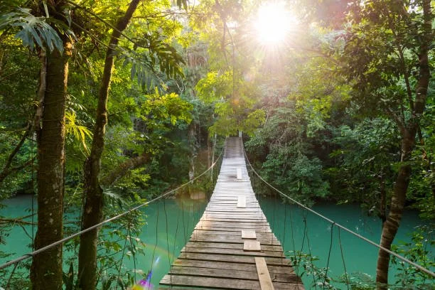 5 Must-Try Experiences for Your Next Jungle Adventure in Belize ...