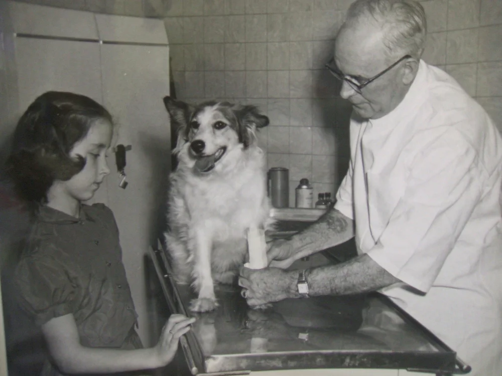Our History | Columbus Humane — Columbus Humane