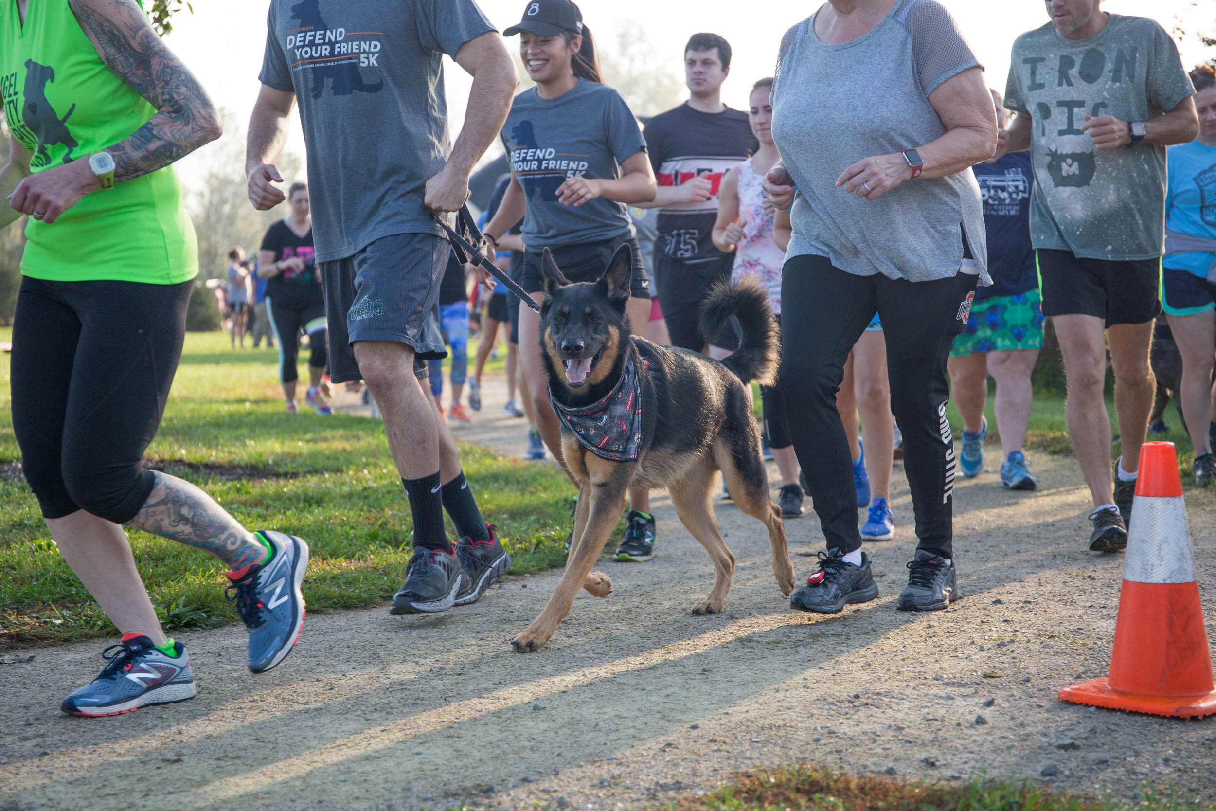 Tips for Running with Your Dog — Columbus Humane