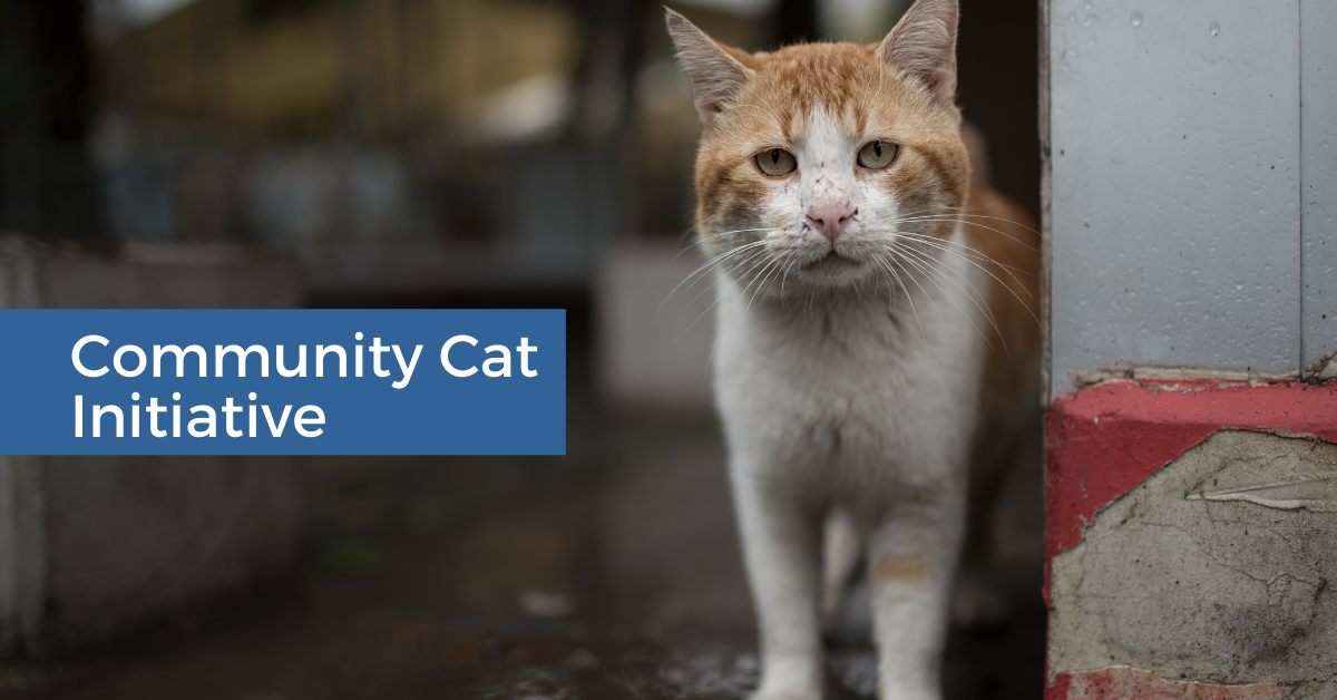 Spay and Neuter Services for Community Cats — Columbus Humane