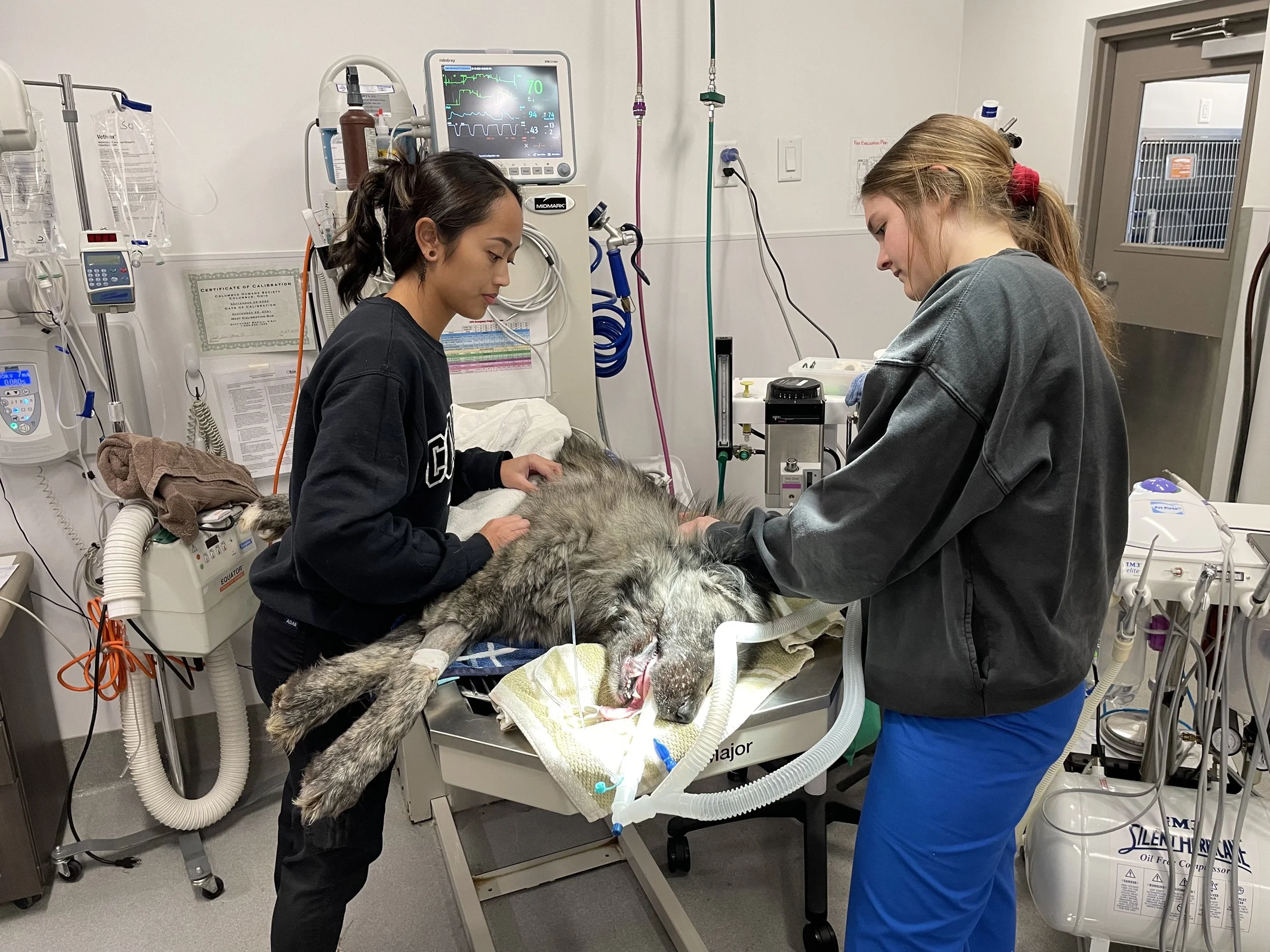 Veterinary Services at Columbus Humane — Columbus Humane