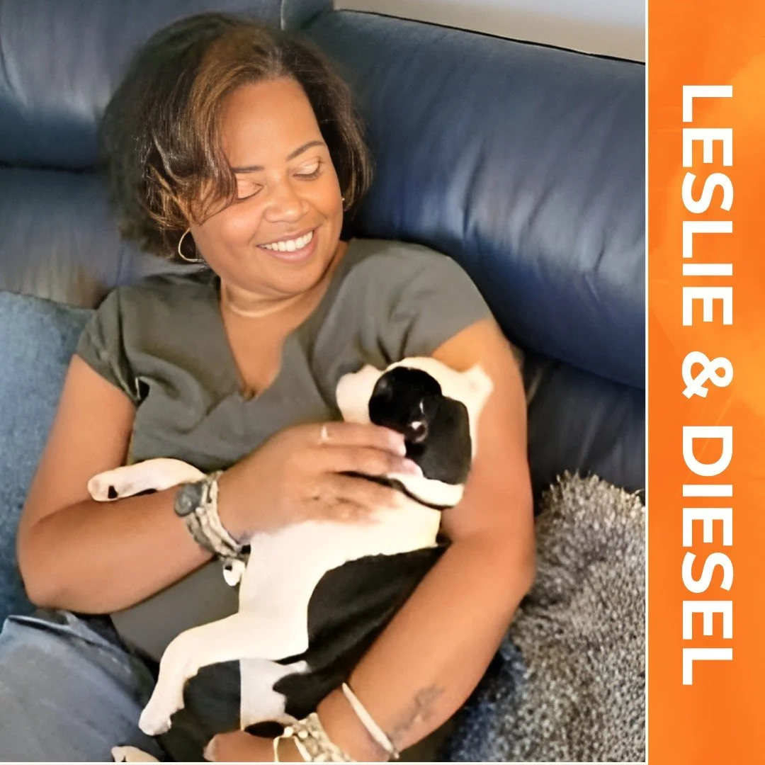 Dog Training | Columbus Humane — Columbus Humane