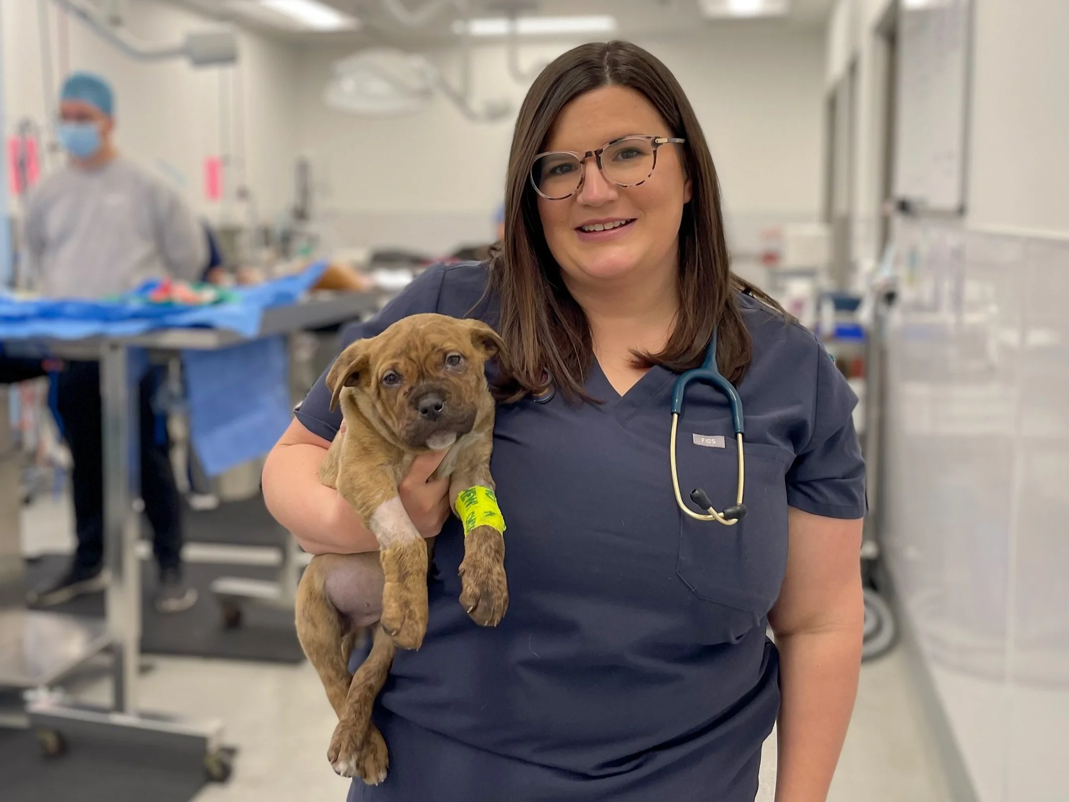 Veterinary Services at Columbus Humane — Columbus Humane