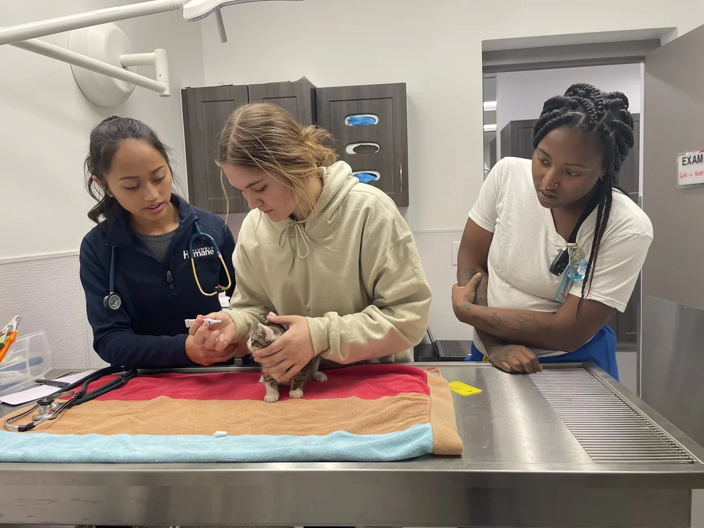 Columbus Humane Veterinary Workforce Development Program Bolstered by ...