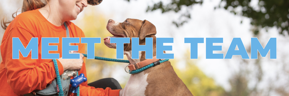 Dog Training | Columbus Humane — Columbus Humane