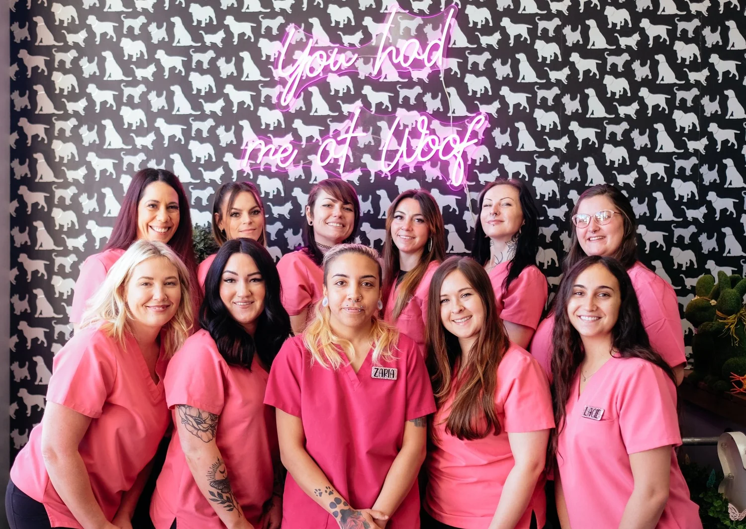 Shampooch Pet Styles