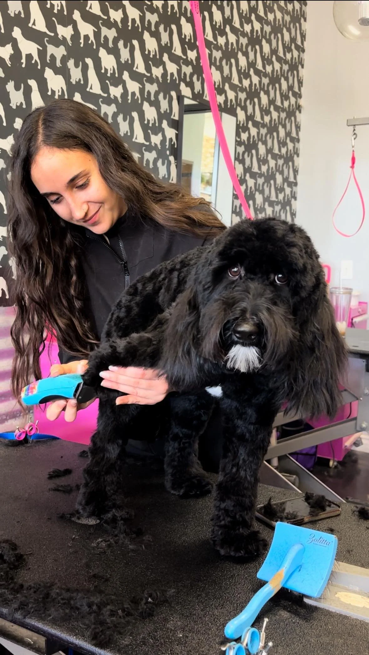Shampooch Pet Styles