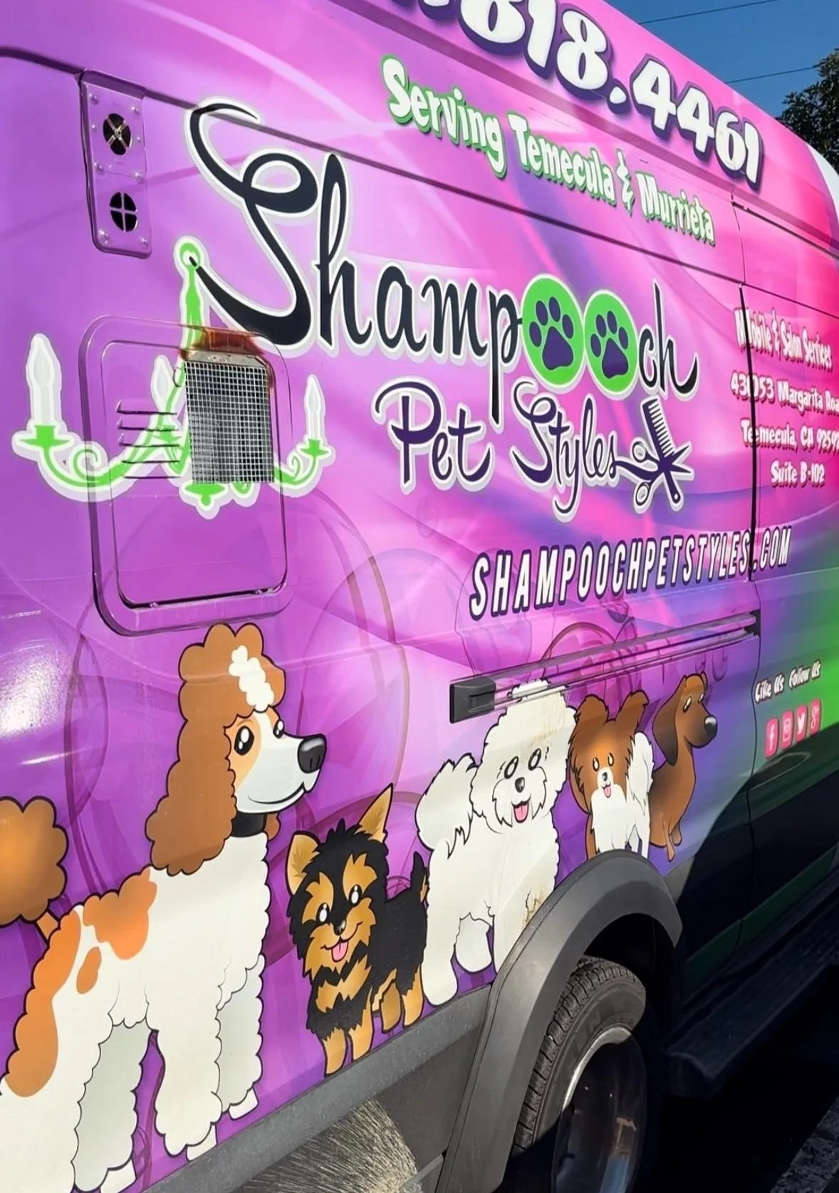 Shampooch Pet Styles