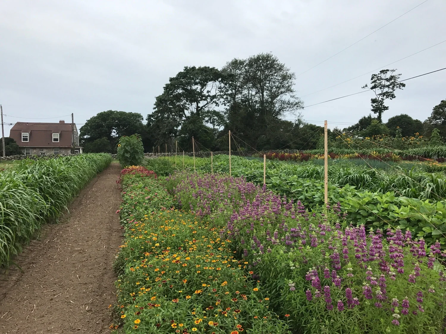 Stone Acres Farm — Unknown Studio