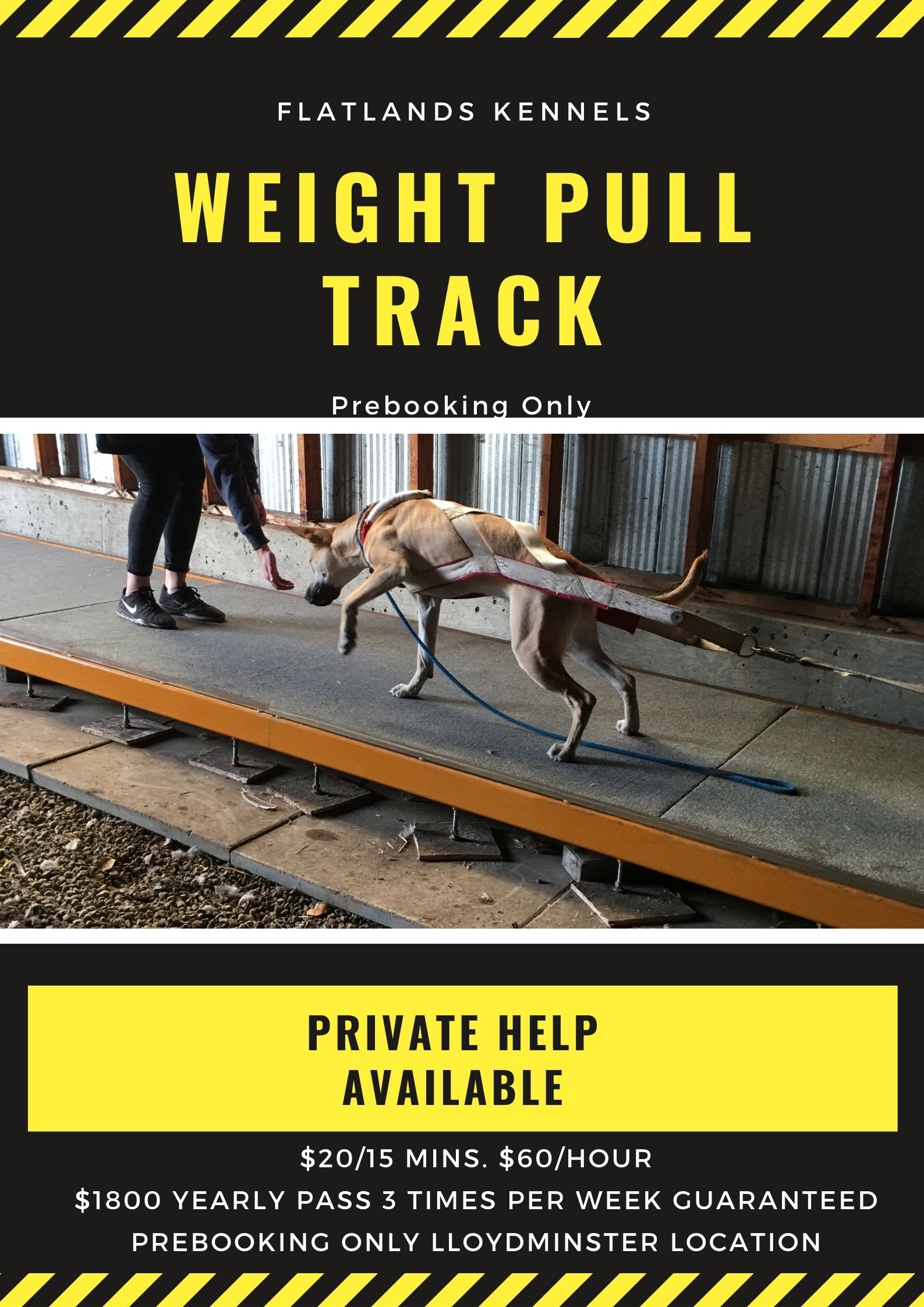 Classes & Equipment — Flatlands Kennel Boarding & Training