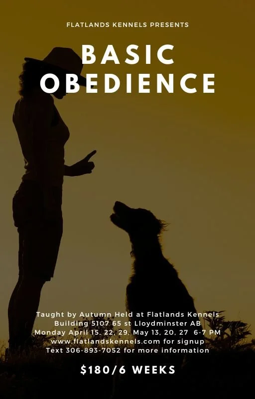 Classes — Flatlands Kennel Boarding & Training