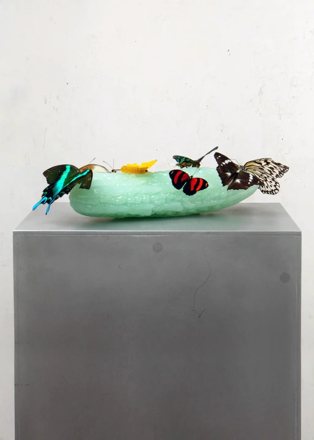 MARISA MU - Marisa Mu - Home