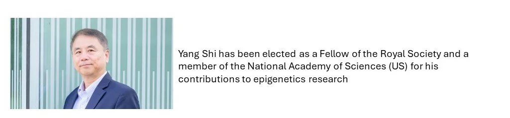 Shi Lab