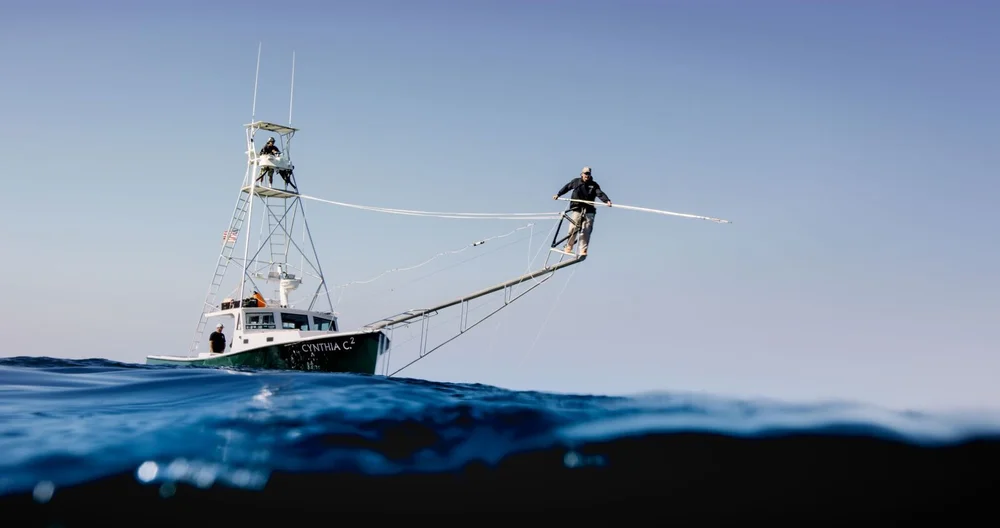 Targeting Giant Tuna... with a Harpoon | Local Knowledge | WAYPOINT TV