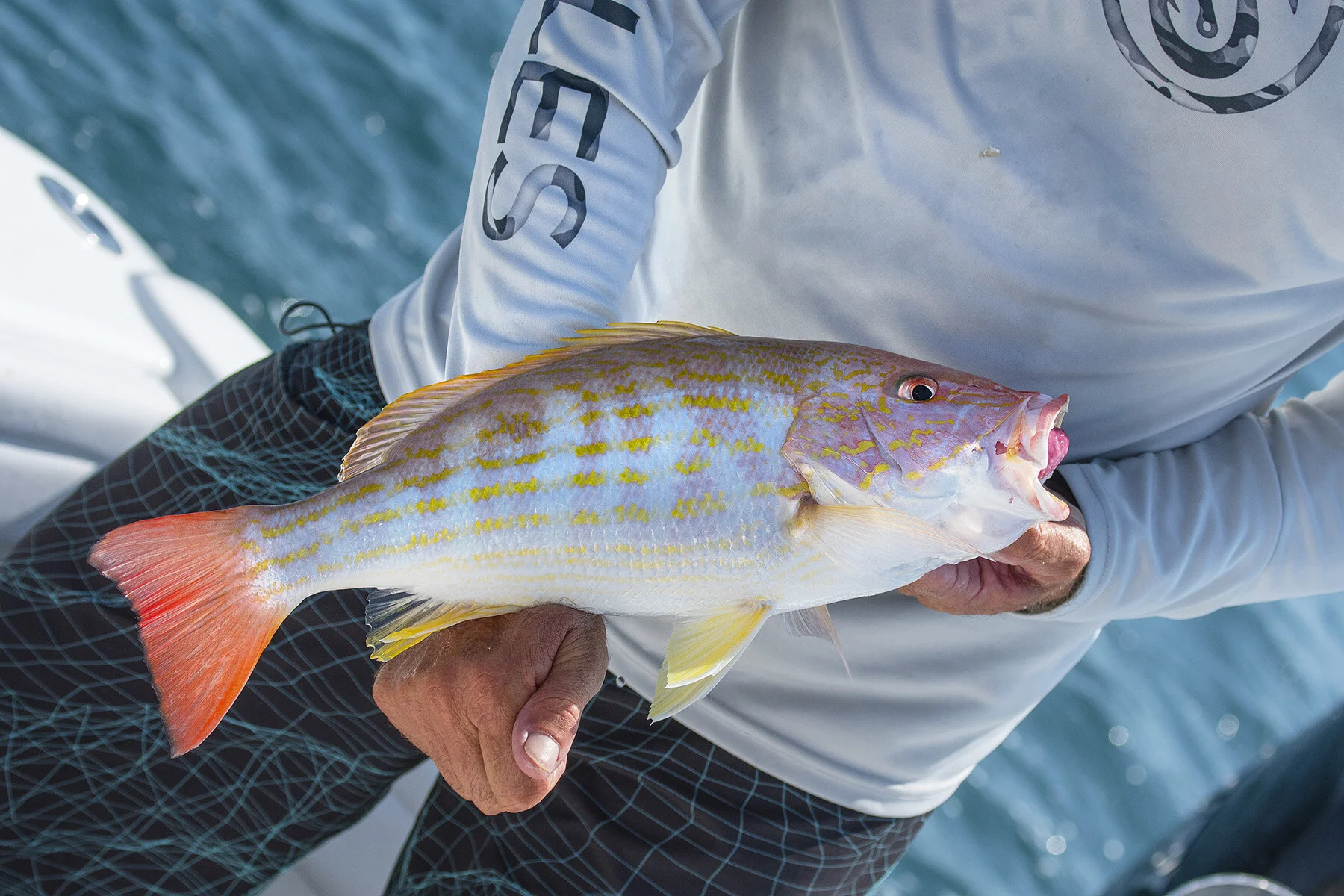 Snapper Secrets From The Florida Keys — WAYPOINT TV