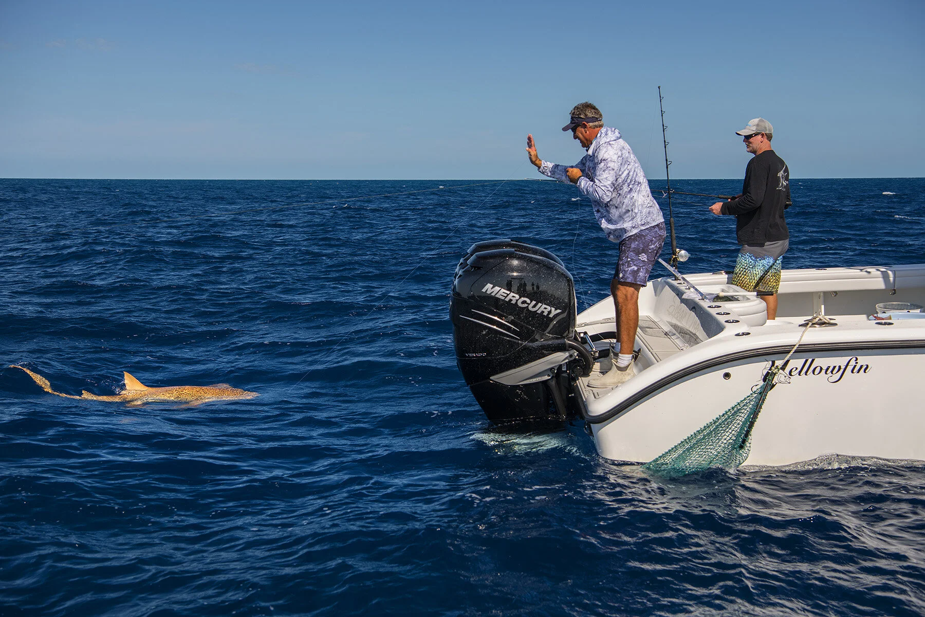 How to Dodge Sharks and Elements To Catch Mutton and Yellowtail ...