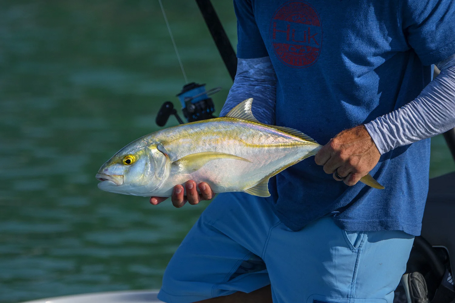 3 Things You Need to Know About Yellow Jacks | WAYPOINT TV