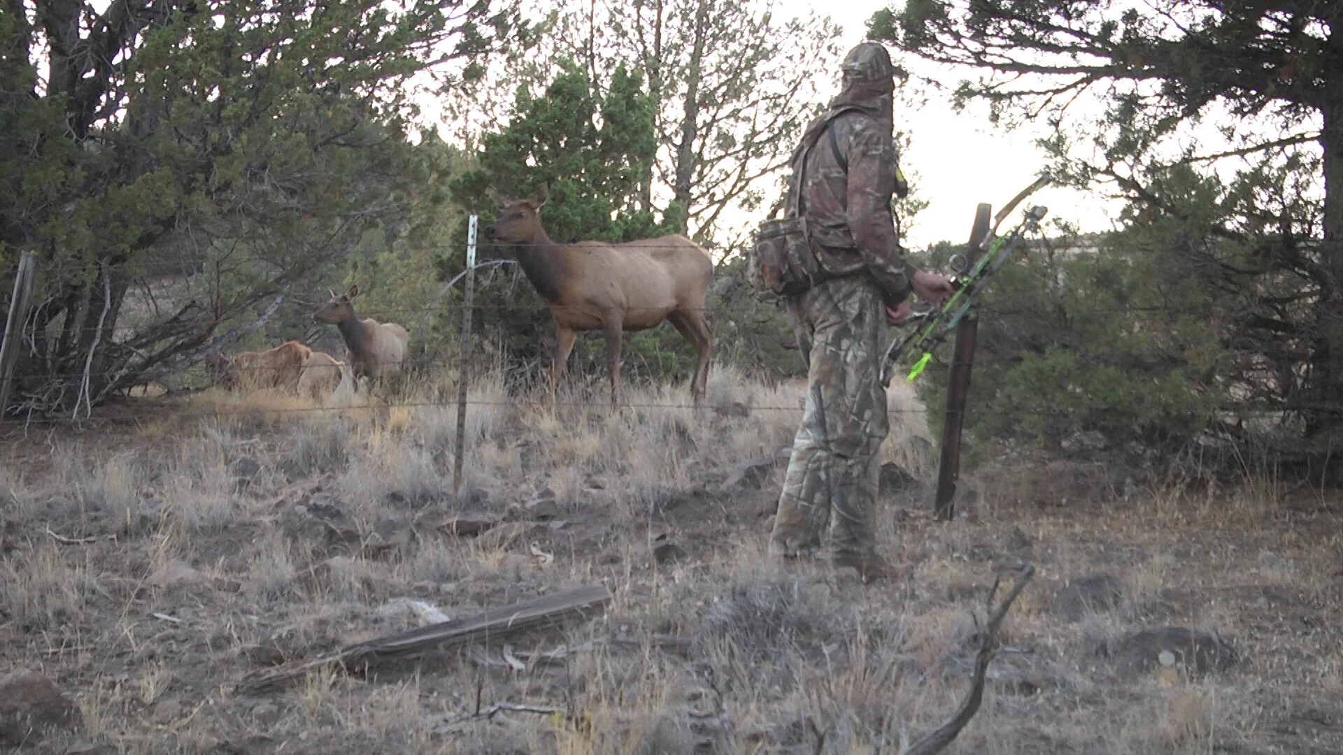 HECS Technology - A Gamechanger in Concealment | WAYPOINT TV