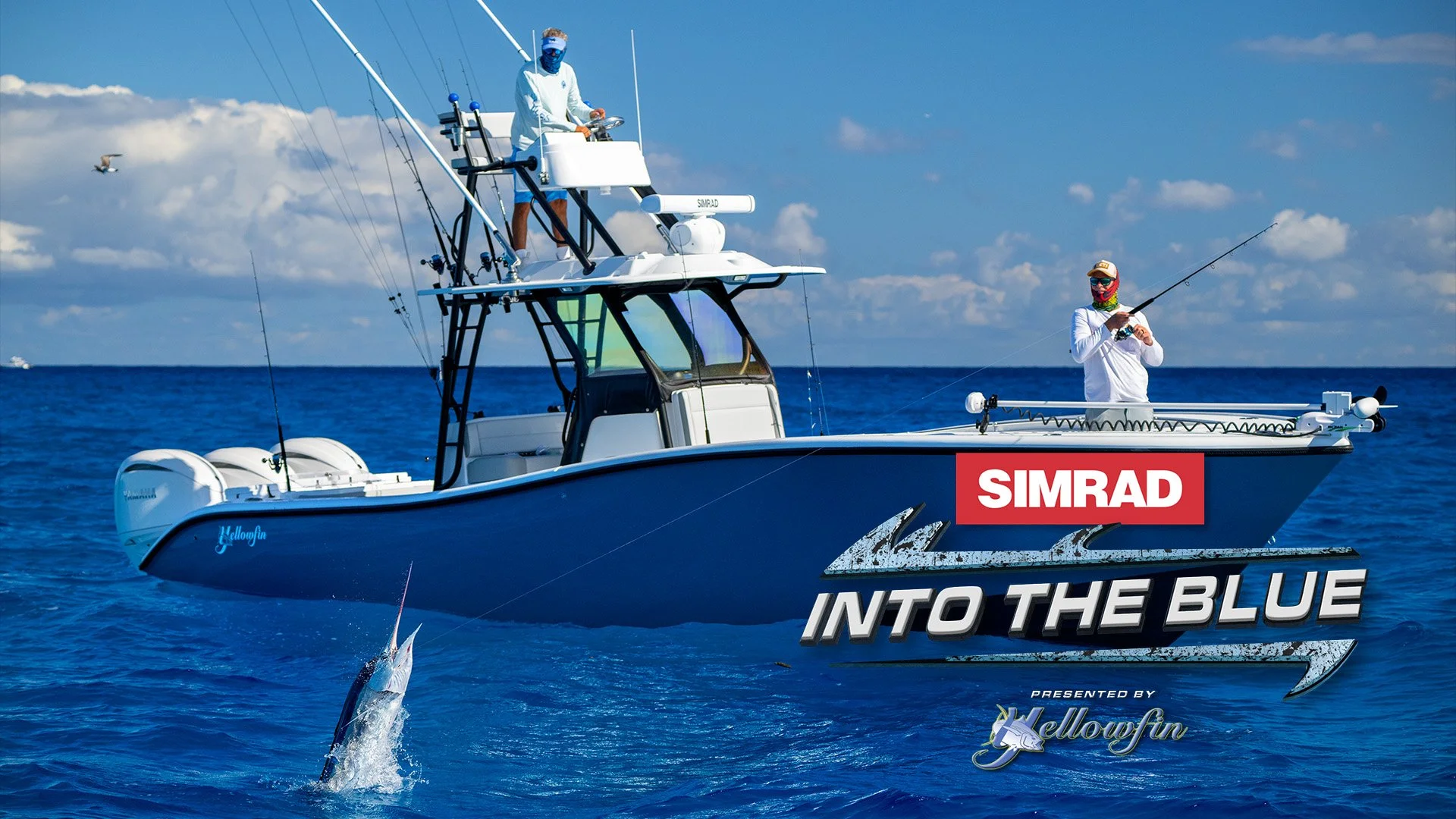 Into The Blue Fishing
