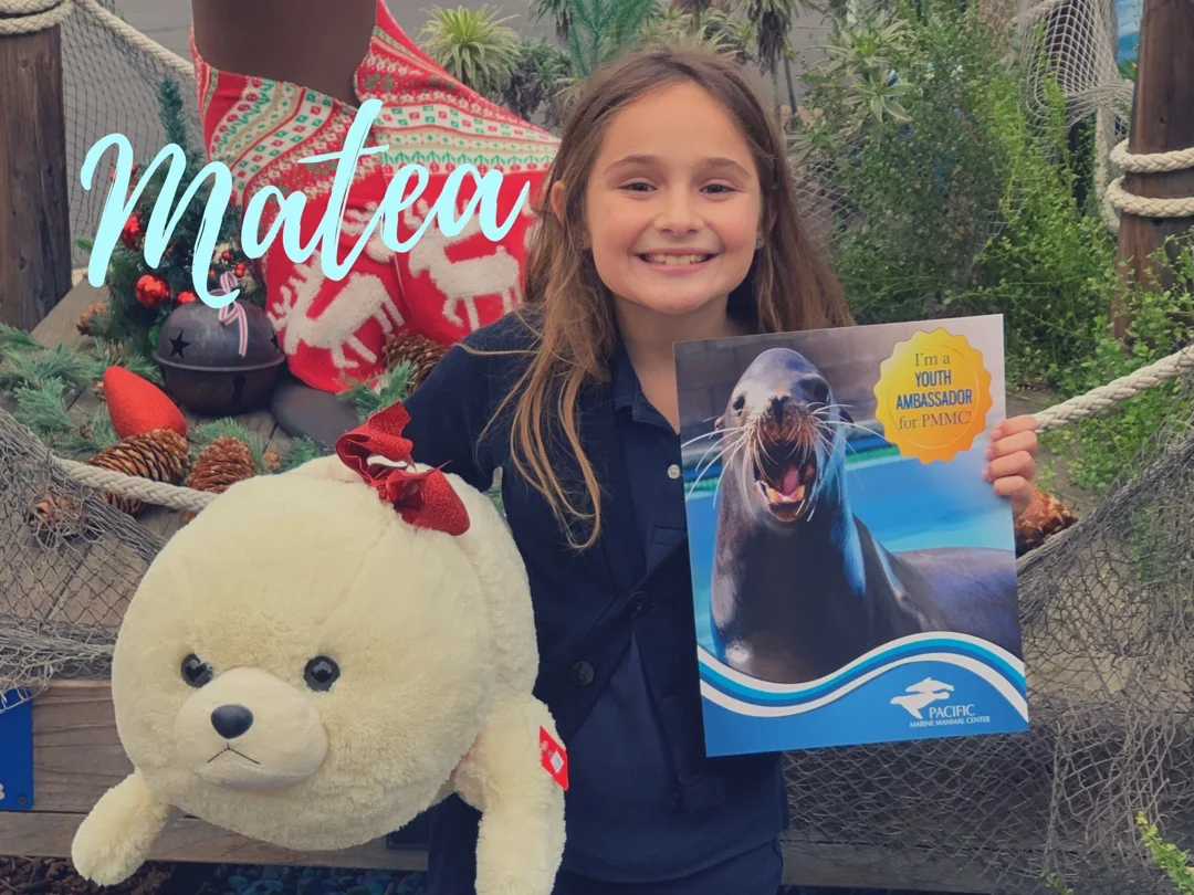 Ocean Protectors — Pacific Marine Mammal Center