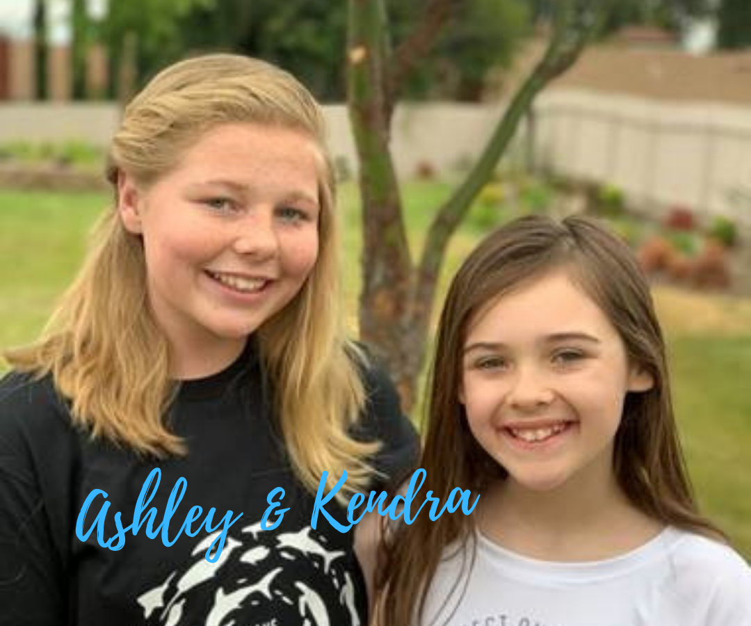 Ocean Protectors — Pacific Marine Mammal Center