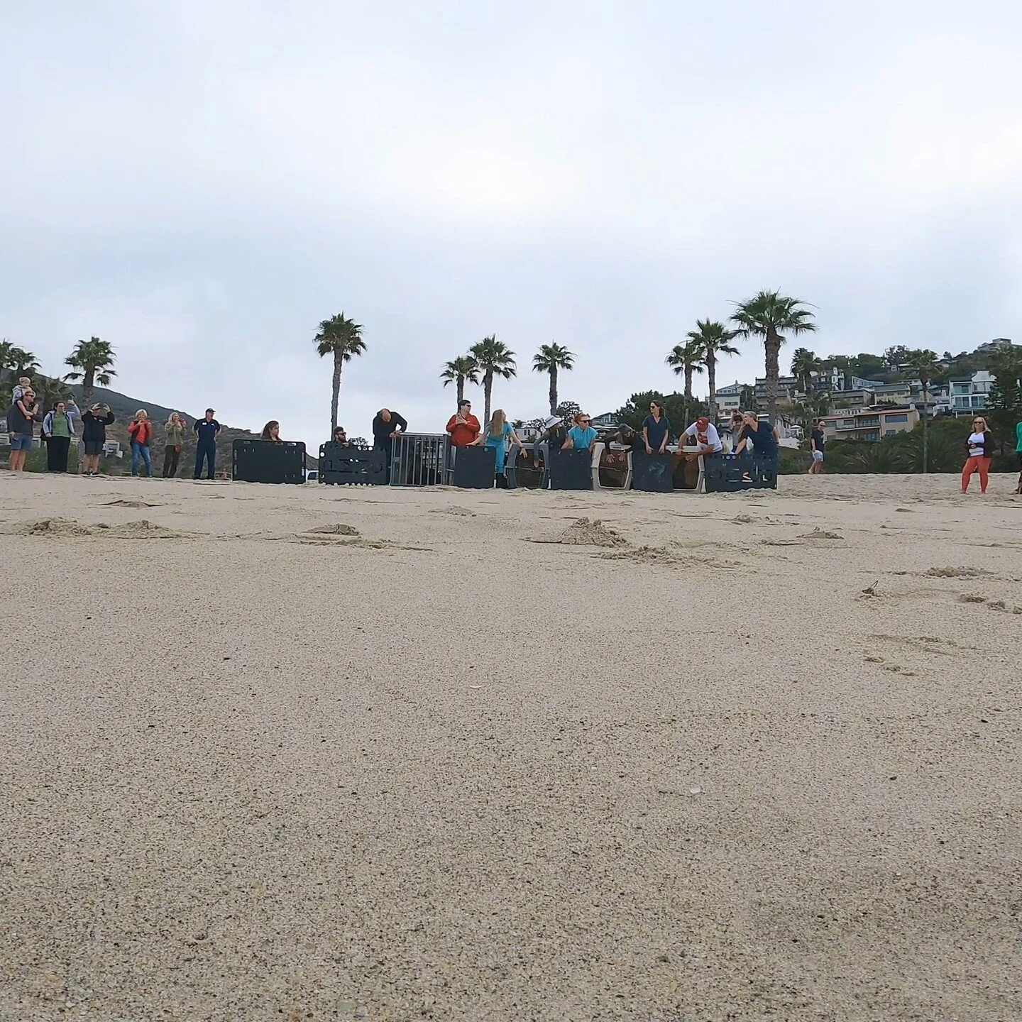 Pacific Marine Mammal Center
