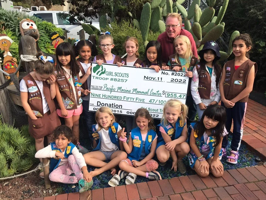 Ocean Protectors — Pacific Marine Mammal Center