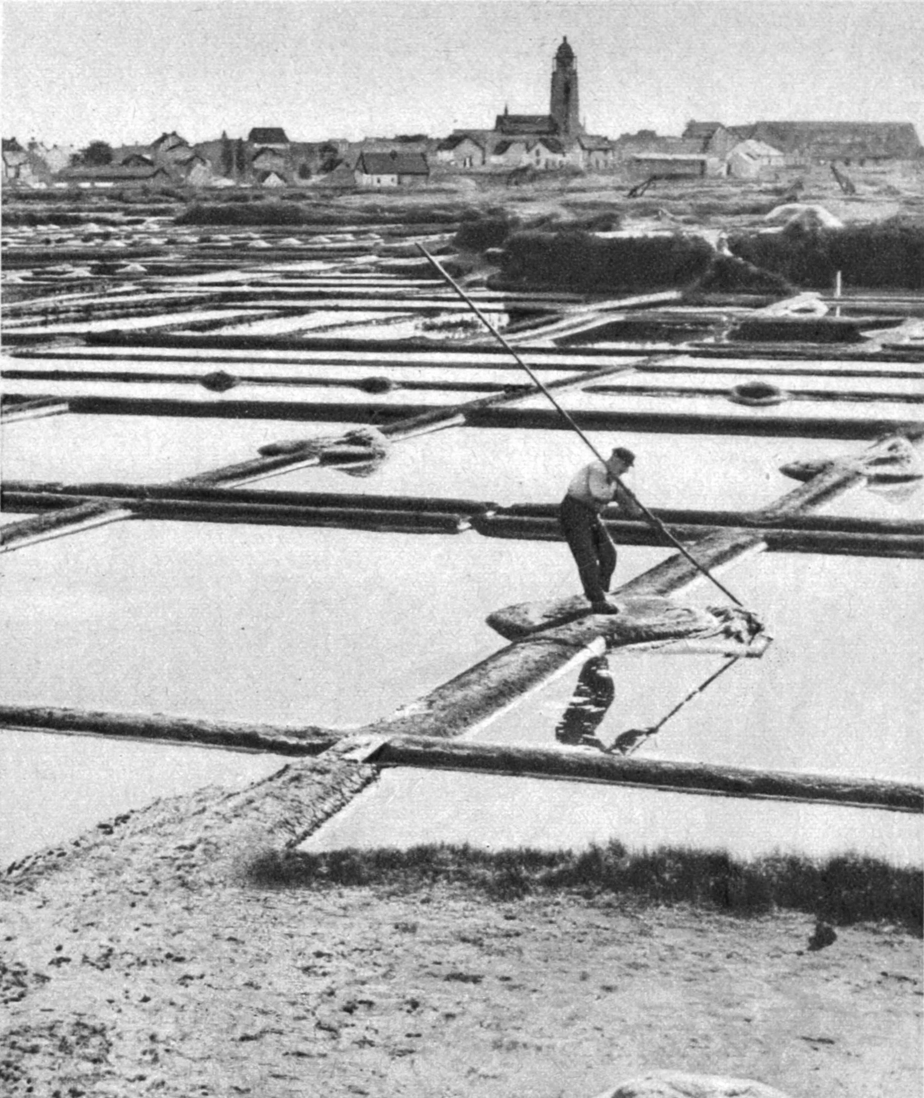 The old occupation of salt merchant — The French-Canadian Genealogist