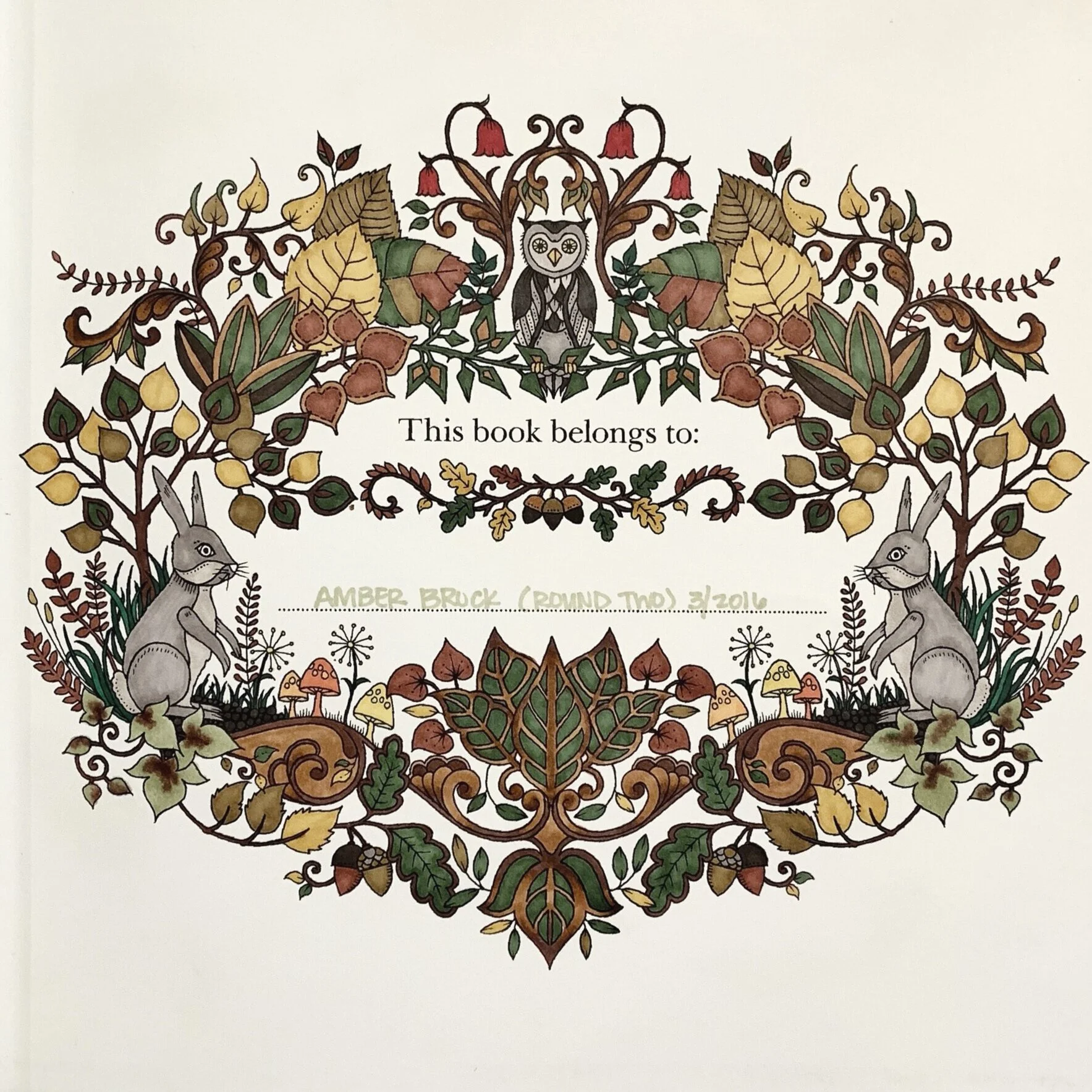 Blog | Start Coloring Today – Explore More — Amber Loves Coloring