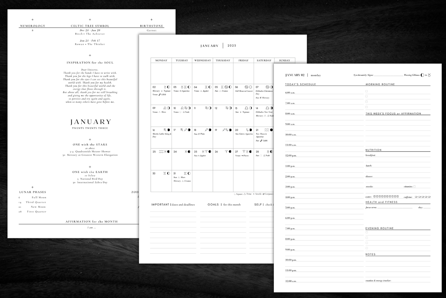 A Closer Look at The Astral Planner 2023 Collection — The Astral Planner