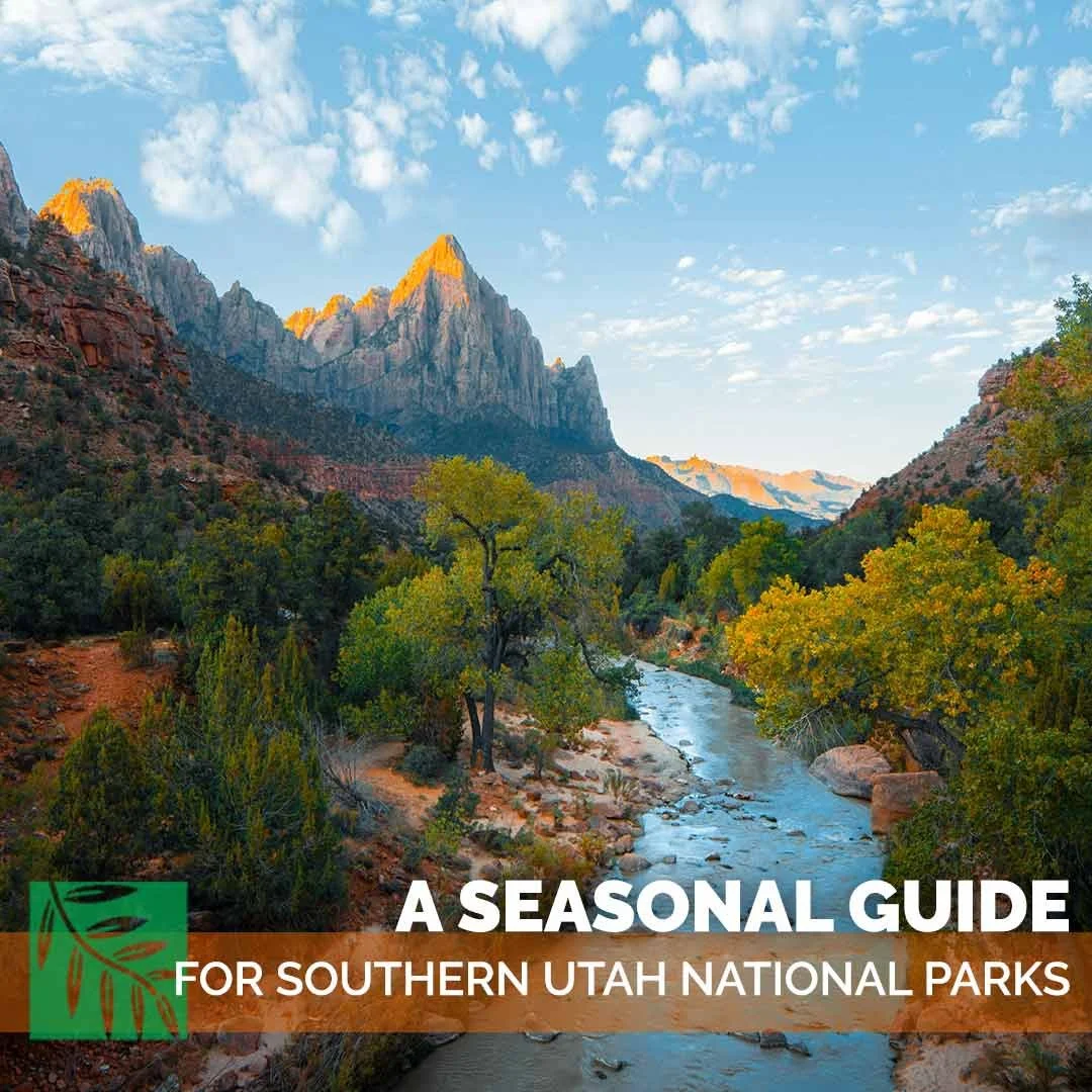 A Seasonal Guide for Visiting Southern Utah's National Parks ...